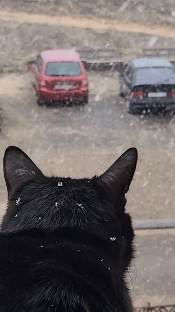 Джек задумался 🤔