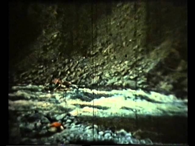 1990 Зун Мурин