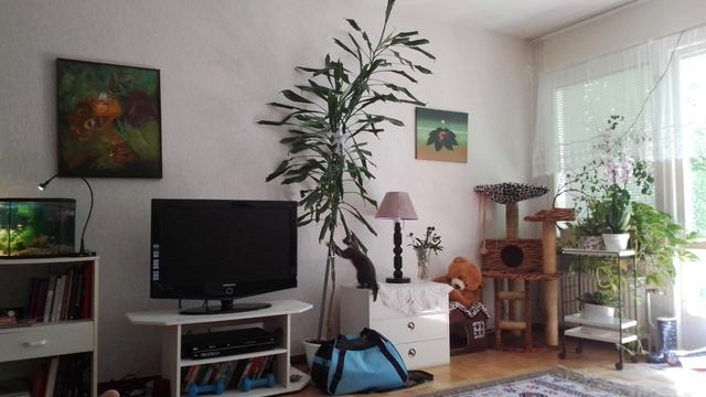 Тише 3 года.