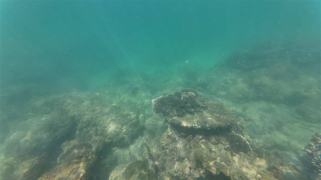 Дананг, Вьетнам, под водой Ghềnh Bàng 17 февраля 2025 - полуостров Son Tra. 2