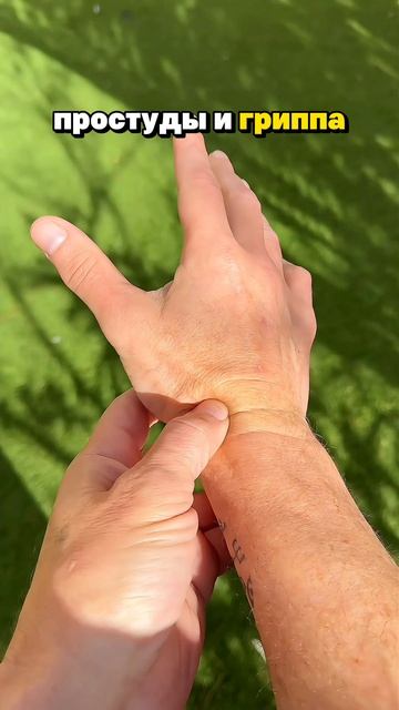 Остановите старость! Ян Си – точка молодости