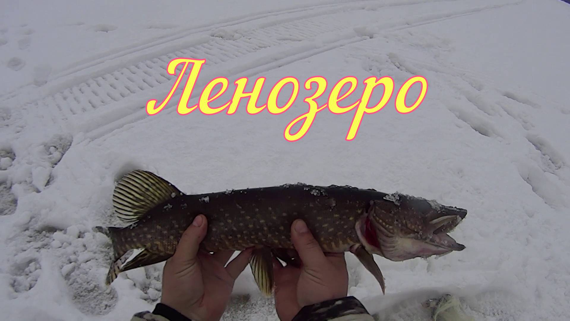 Ленозеро, в поисках рыбацкого счастья!