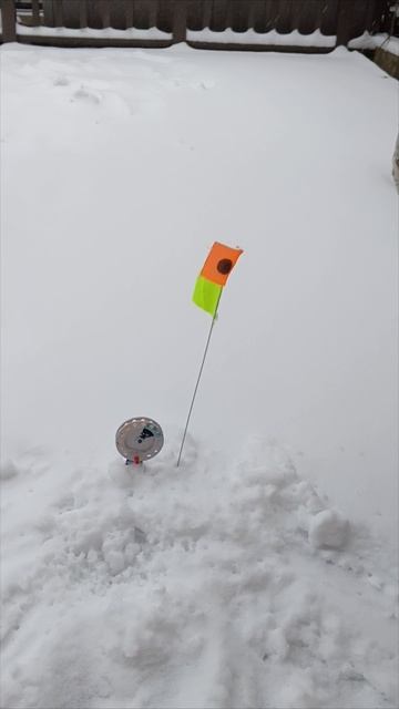 Точно последний флаг !