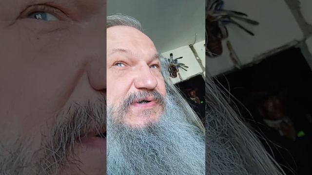 моя комната
