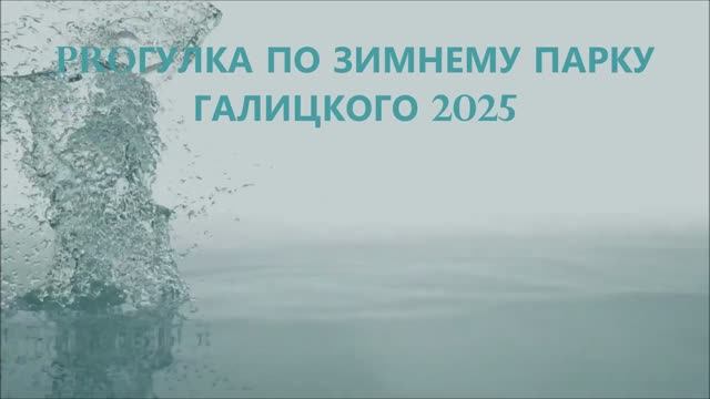 ПАРК ГАЛИЦКОГО