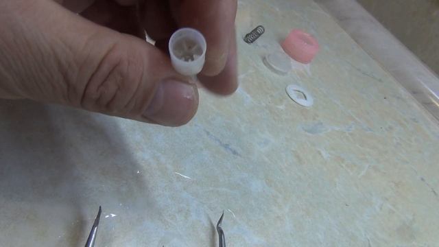 Ну началось Сеем цветы на рассаду