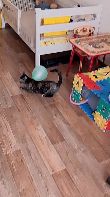 Шарик прилепился к Марусе😁