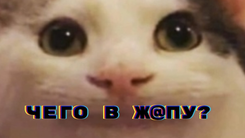 У меня на заднем дворе полный треш...