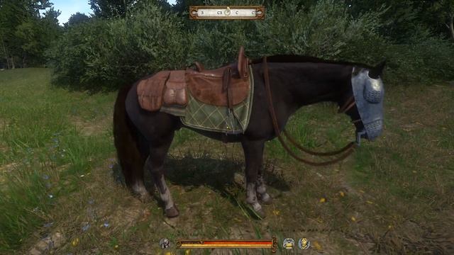 Kingdom Come: Deliverance. Шанфрон с критнетом (два тайника) + показ нарядов для лошади.