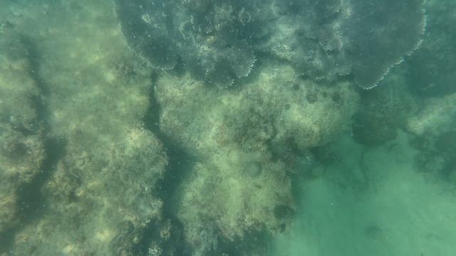 Дананг, Вьетнам, под водой Ghềnh Bàng 17 февраля 2025 - полуостров Son Tra. 3