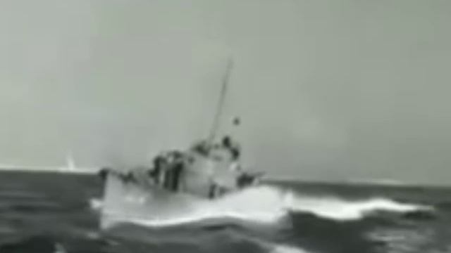 Привет морскому ветру