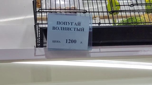 03.04.2025г. Стерлитамак. Прогулка в Сити Мол. пр. Октября.