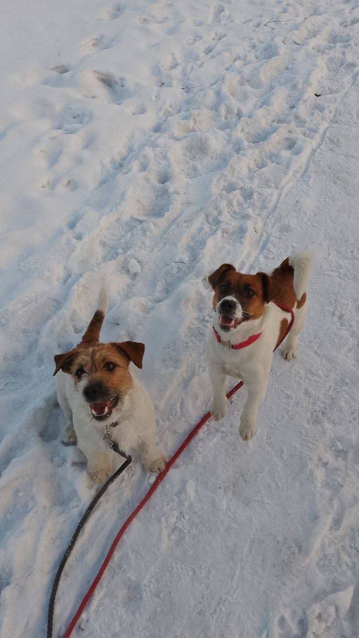 Сага о неотпуске. часть 1 в путь