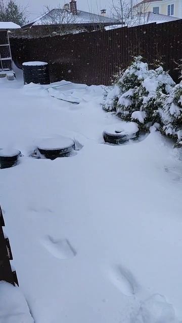 6 апреля 2025 года завалило нас снегом #погода #снегопад