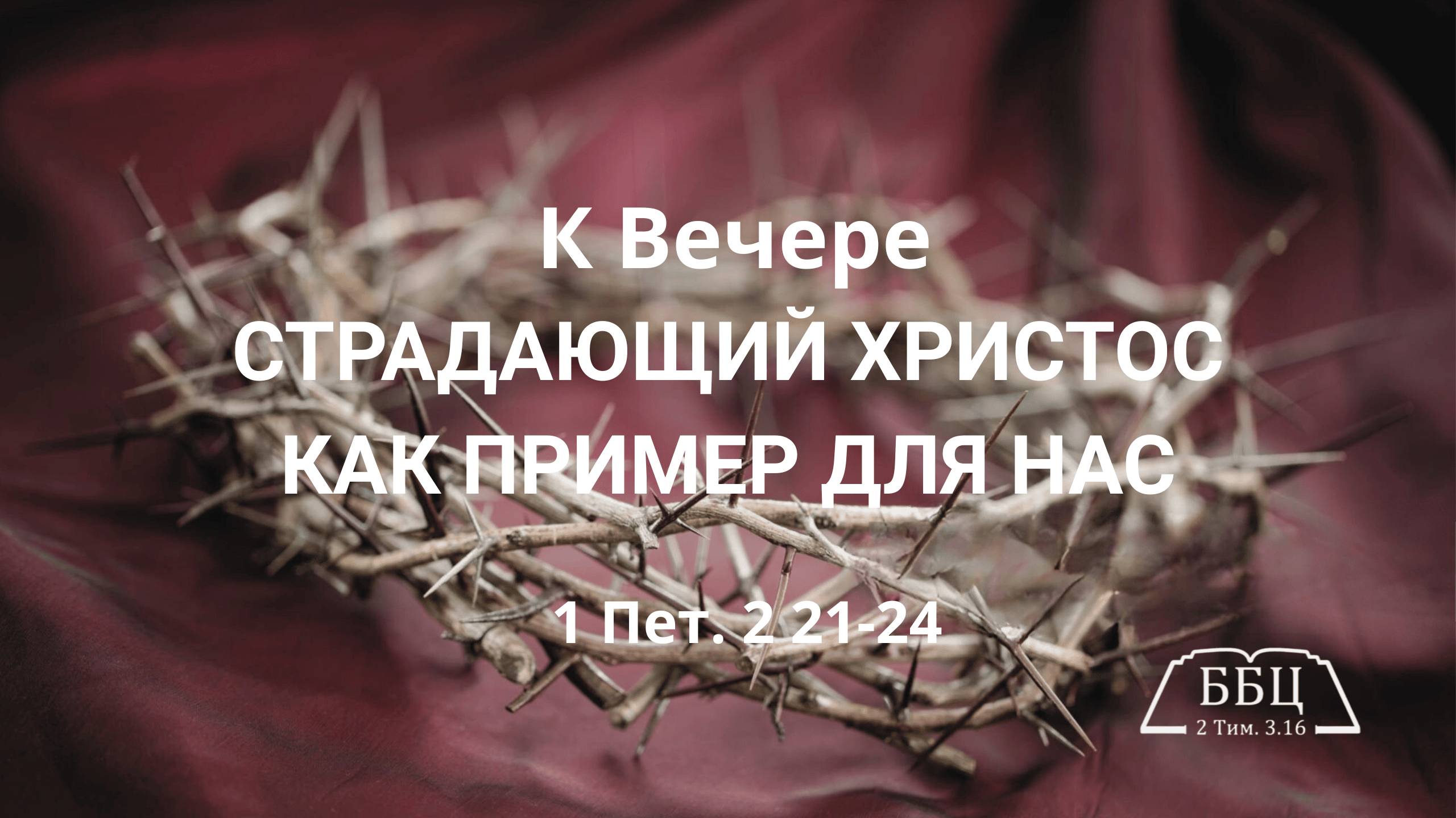 1Петра 9: Страдающий Христос как пример для нас (1 Пет. 2: 21-24) || Вячеслав Катречко