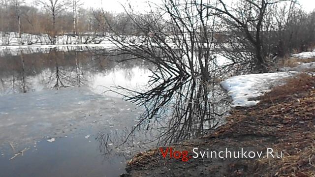 На озере возле посёлка Дружба