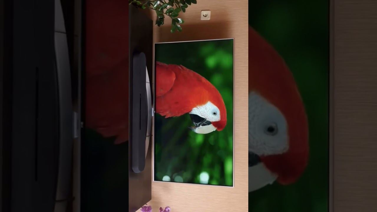 ТОП-10 лучших саундбаров для телевизора 2025: рейтинг, сравнение, плюсы и минусы, советы по выбору