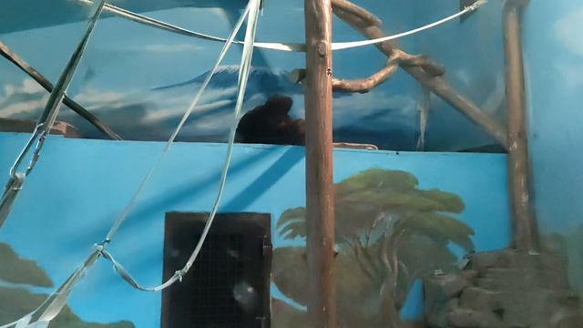 У них есть даже телевизор