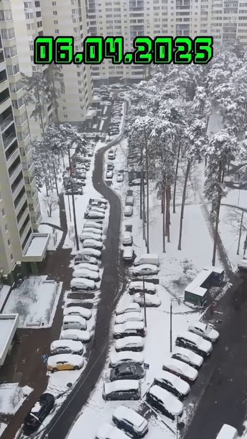 ЗИМА ОПЯТЬ ЗИМА 06.04.2025