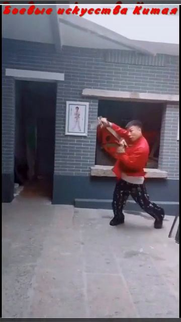 Вин Чун (Ножи-Бабочки)-3