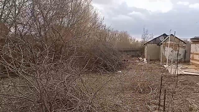 Расчистка сада, часть 1