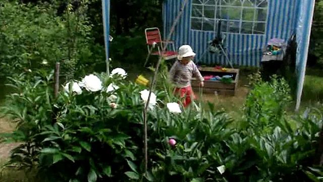 ну кто же задом ходит