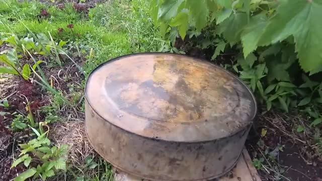 Ловушки для грызунов( мышей).