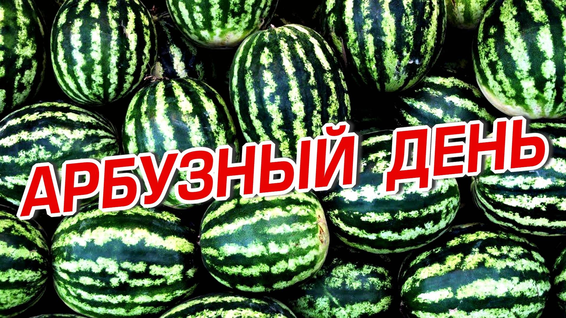АРБУЗНЫЙ ДЕНЬ