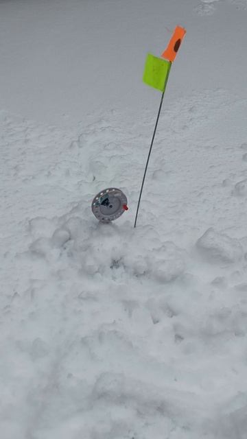 Последний флаг в сезоне!