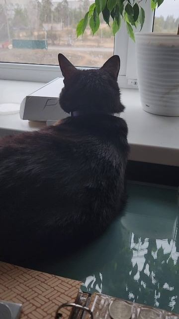 Мой бессменный помощник 👍😉🙃