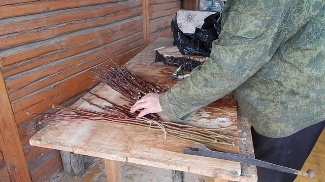 Феврале заготовленные привои сохранил таким образом