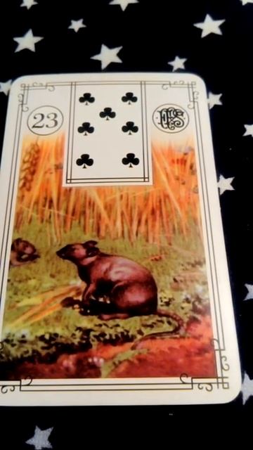 69 КАРТА ДНЯ