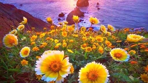 Вечер в парке.