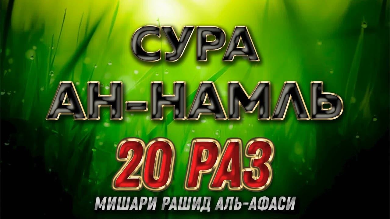 Сура АН-НАМЛЬ 20 РАЗ - Мишари Рашид Аль-Афаси