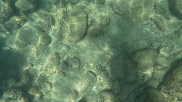 Дананг, Вьетнам, под водой Ghềnh Bàng 17 февраля 2025 - полуостров Son Tra.