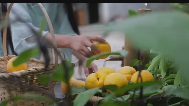 Красивая заготовка ПЕРСИКОВ в ДЕРЕВНЕ / Эстетика, Природа, Для души