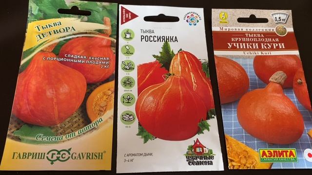 Тыква семена