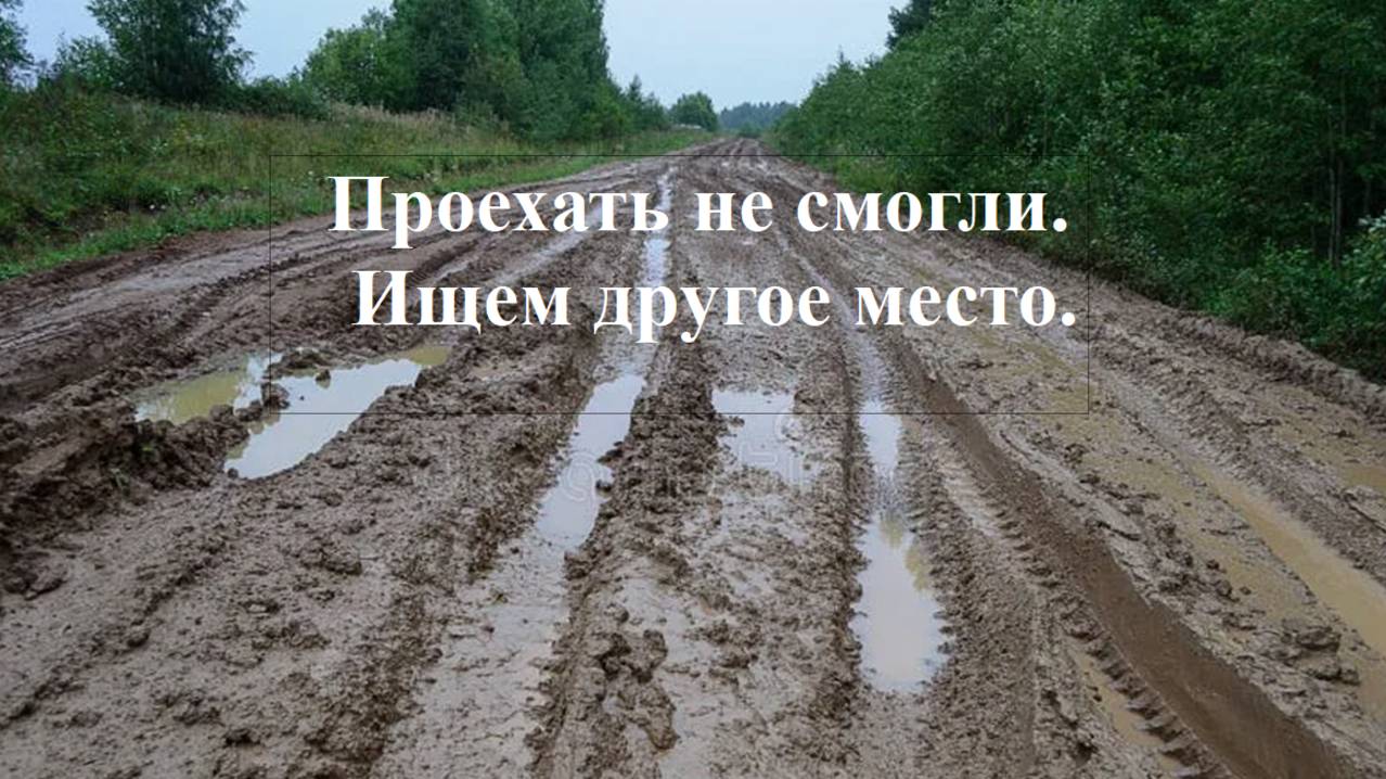 Мы так и не доехали до нужного места.План поиска пришлось по ходу изменить.