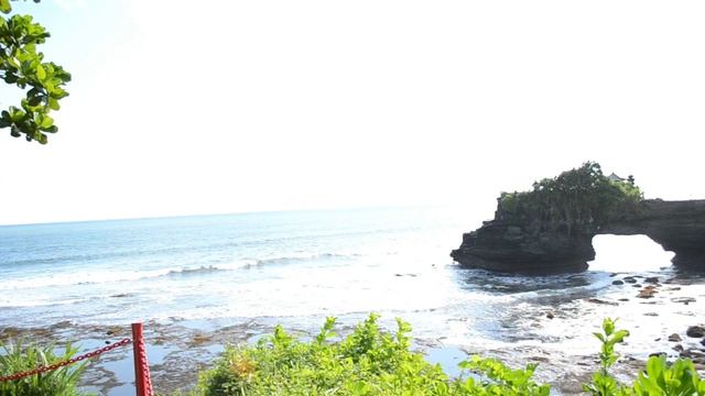 БАЛИ-парк птиц!Обезьяны и Танах Лот!Пляж в Куте!