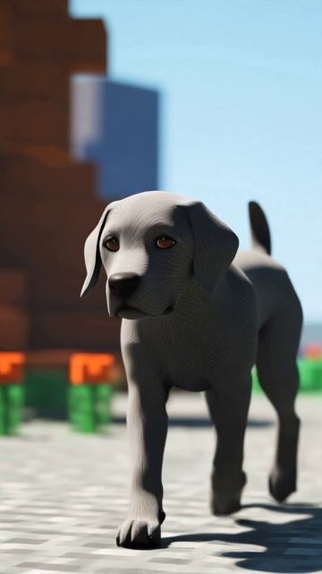 The DOGS Wooftastic Update Teaser #thedogsgame #тизер  #gulyatv #thedogs #gulyatvgames