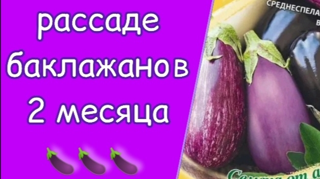 Важные моменты в выращивании крепкой рассады.