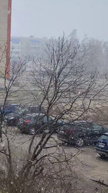 А у нас снова зима😉, Звенигово 06/04/2025