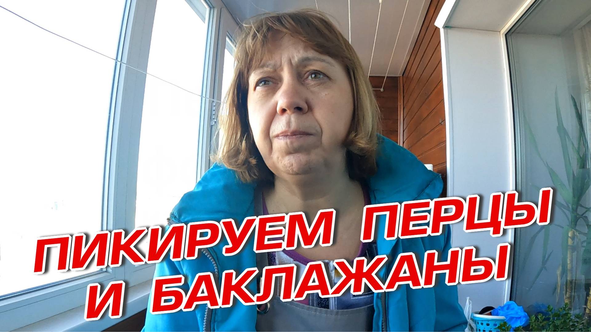 ПИКИРУЕМ ПЕРЦЫ И БАКЛАЖАНЫ