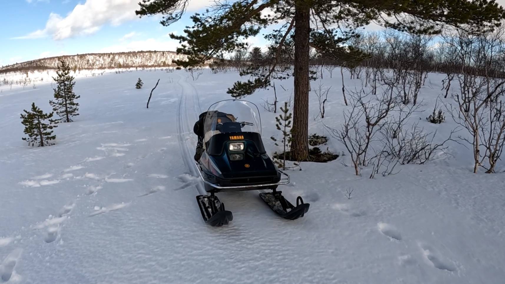 -19 ГРАДУСОВ.РЫБАЛКА С НОЧЁВКОЙ В ИЗБУШКЕ В ТУНДРЕ.НАЛИМЫ НА ДОНКИ.БЫТ И РАБОТЫ В ИЗБУШКЕ. .РЕТРИТ.