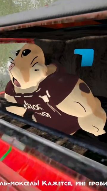 Хомячок Савелий #5ночейсбобром #5ночейсбобромкурвой #бобркурва #хомячоксавелий