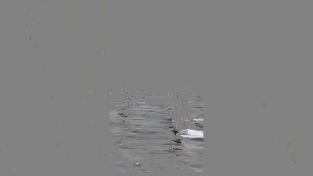 Физкультурник