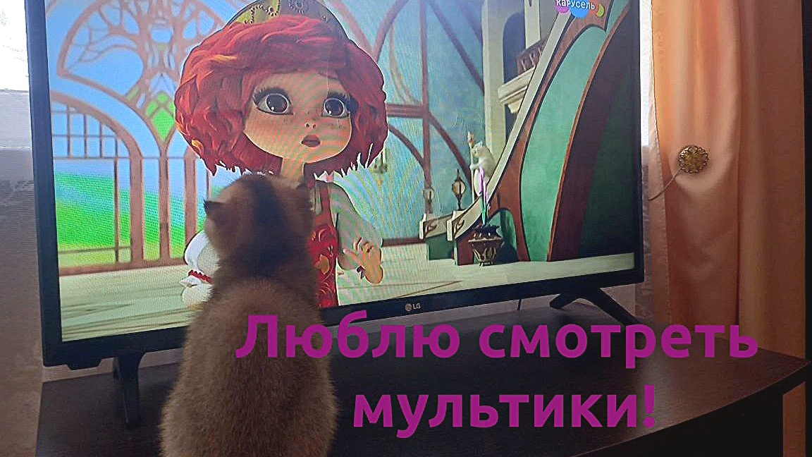 Мотины мультики
