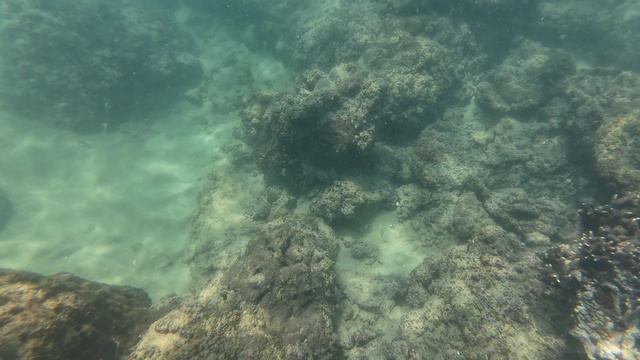 Дананг, Вьетнам, под водой Ghềnh Bàng 17 февраля 2025 - полуостров Son Tra. 4