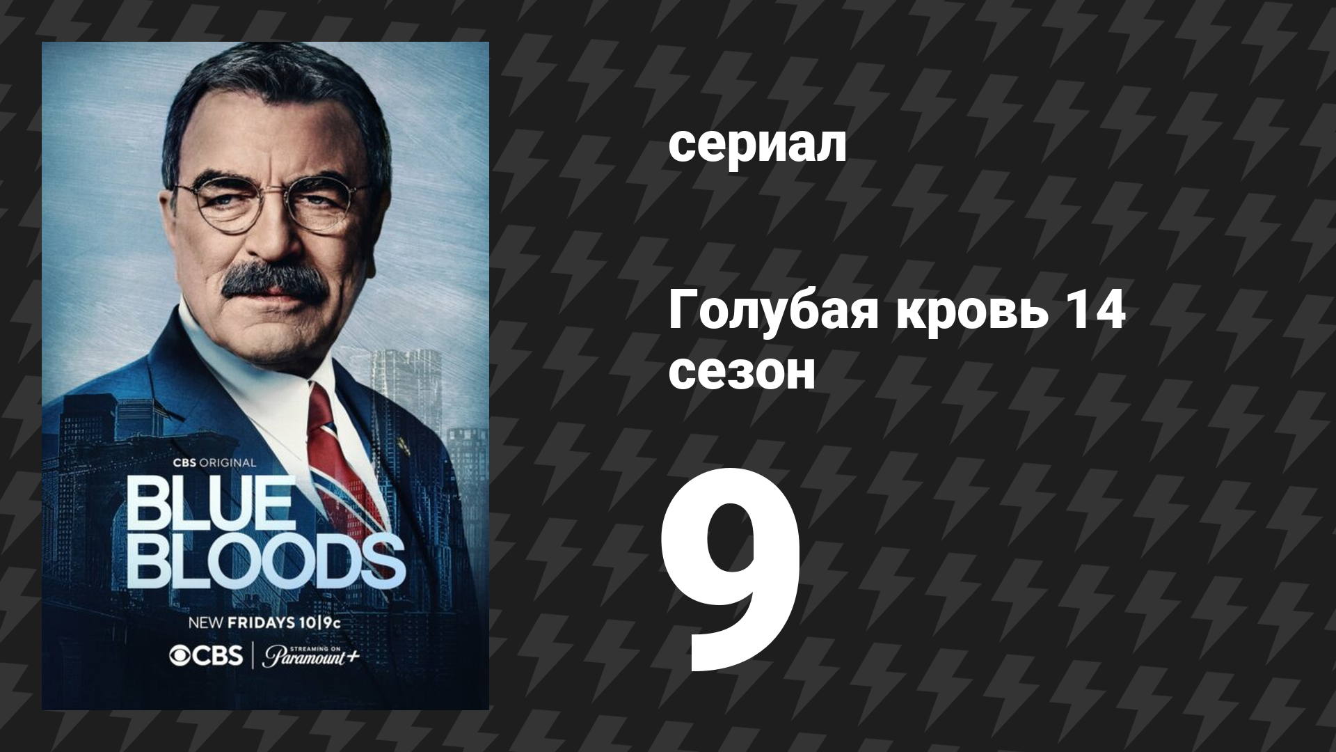 Голубая кровь 14 сезон 9 серия «Два одинаковых предмета» (сериал, 2024)