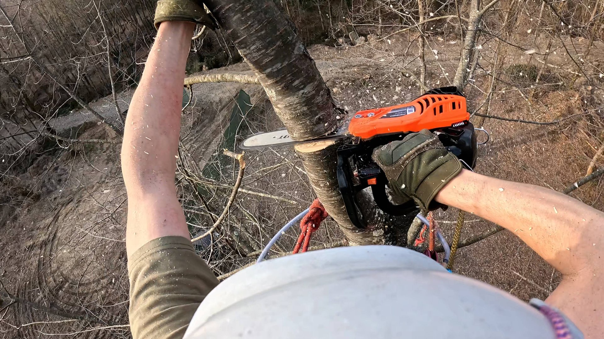 Кронирование обрезка деревьев на даче, лазание на дерево в гафах